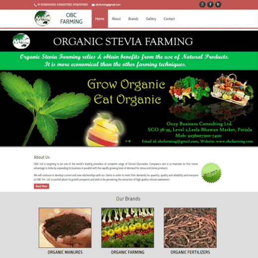 Projects - Gemini Geeks Tech. Pvt. Ltd.